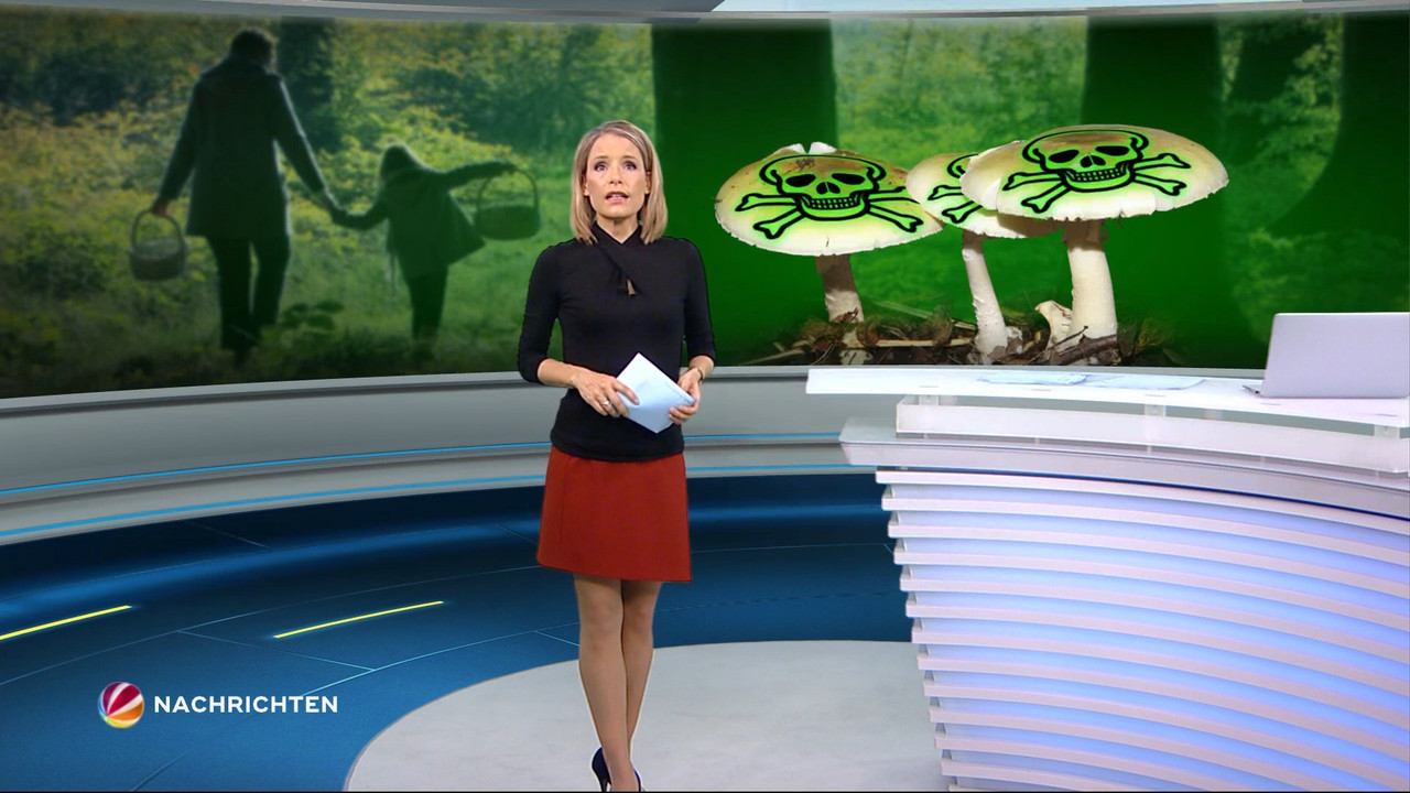 cap 20191104 1954 SAT 1 HD SAT 1 Nachrichten 00 12 11 16 — Postimages