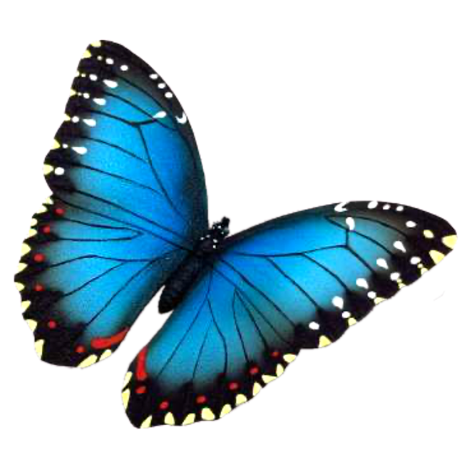 2023 Wildlife Figure of the Year, time for your choices! - Maximum of 5