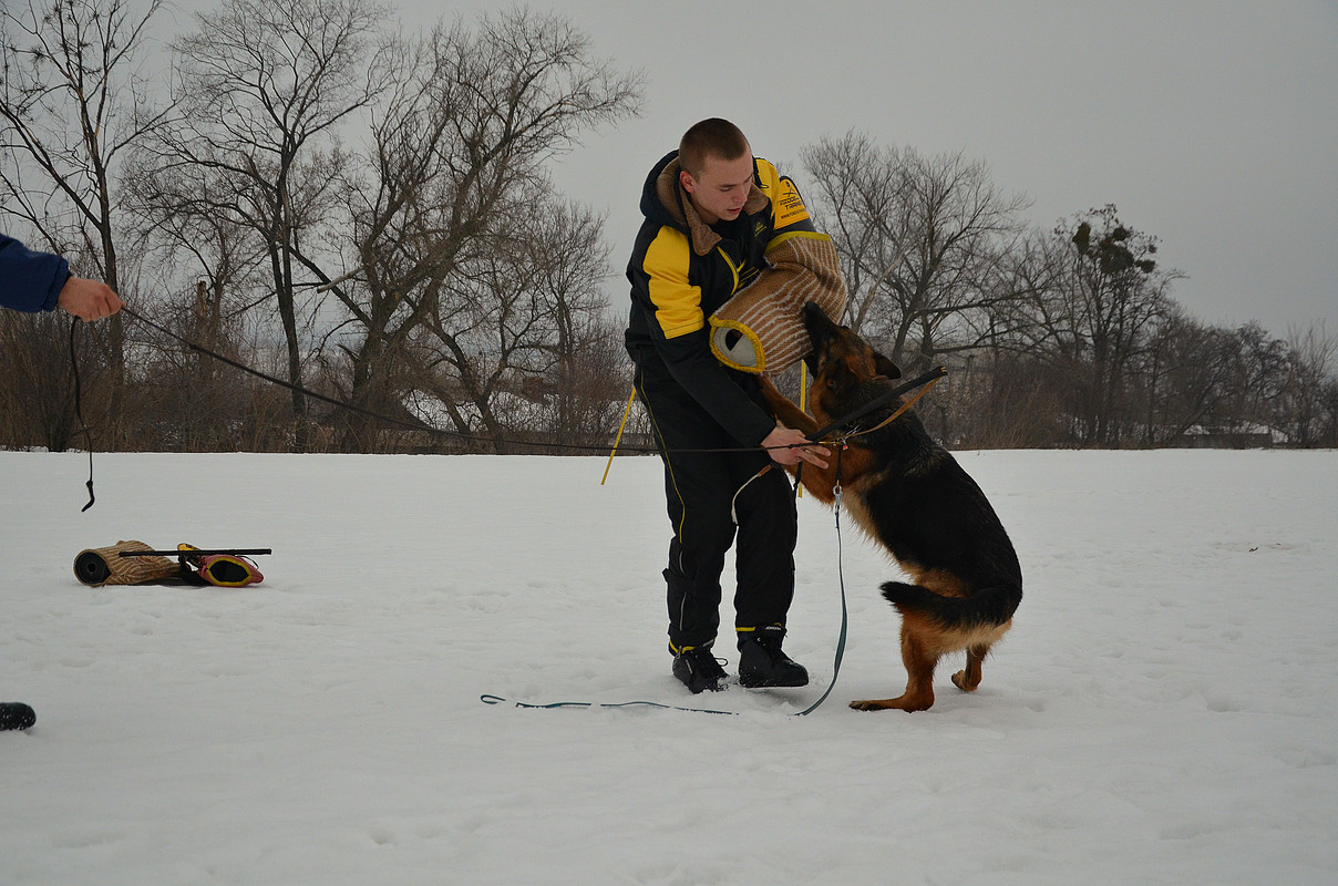 эля 16 — Postimages