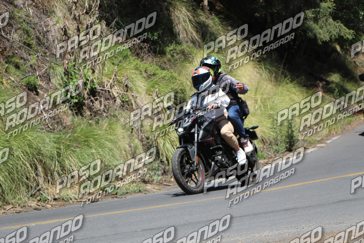 IMG 5149 wm 324551 8000000003 watermarked — Postimages