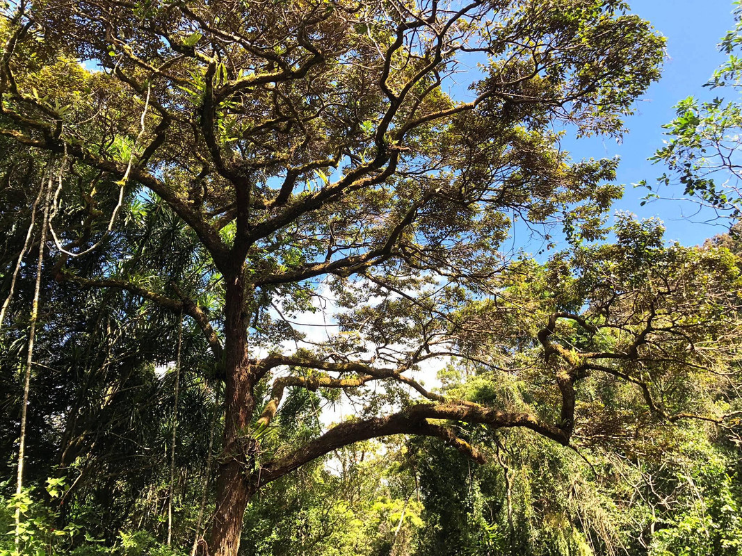 307344144 1476215149552209 9003379187682764291 n — Postimages