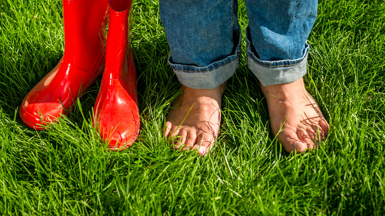 Gazon natural rulat OxyGazon tip Royal Seceta, 1 palet x 40 mp - eMAG.ro