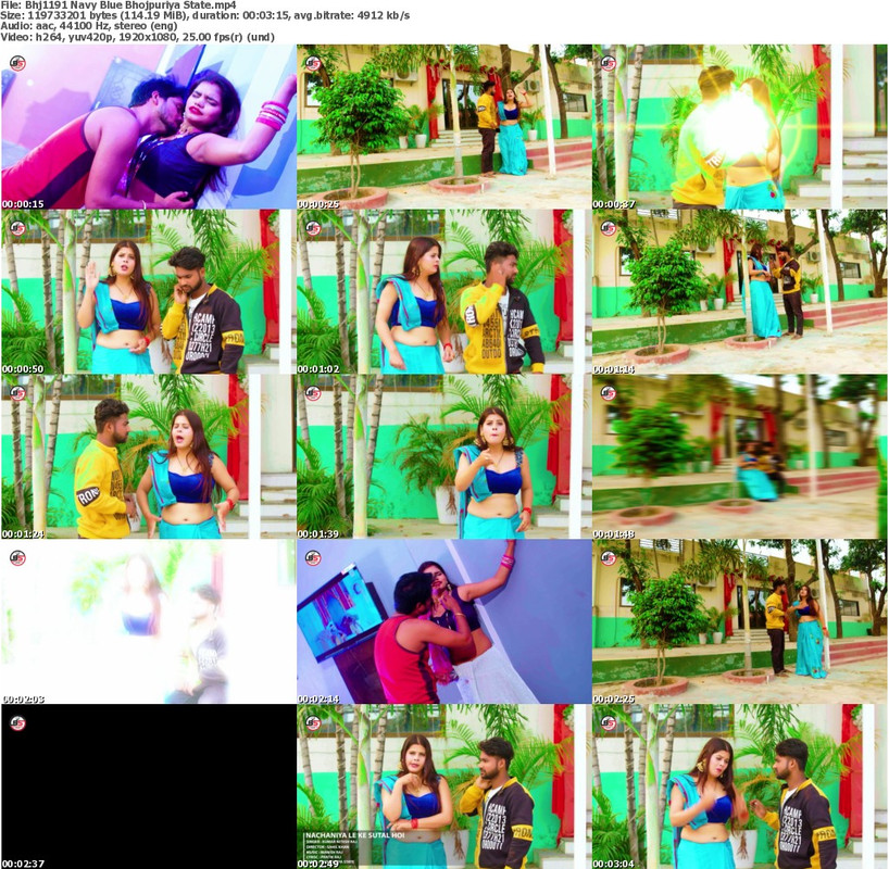 Bhj1191 Navy Blue Bhojpuriya State — Postimages