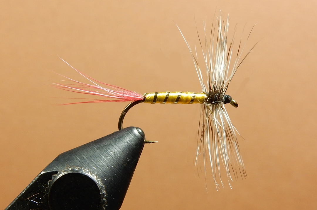 Gray Hackles - Fly Tying - Maine Fly Fish