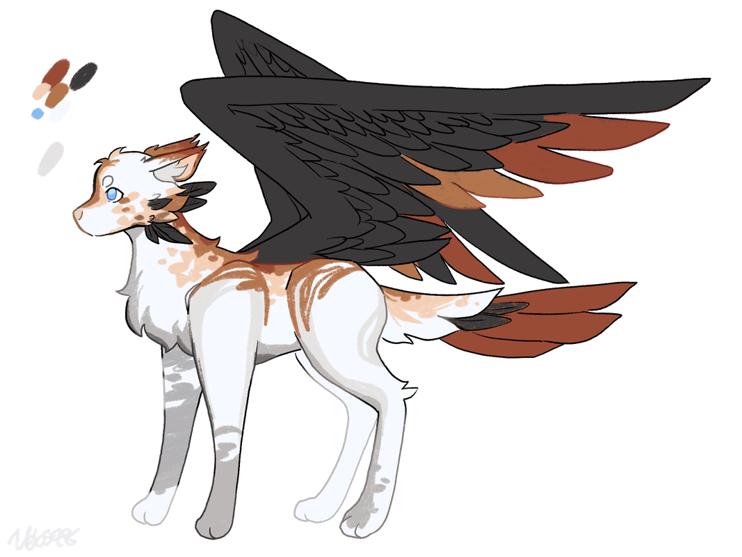 1229 A571 62 F9 4 AAA 908 A FBB114 F086 DC — Postimages