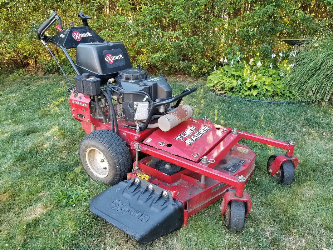 20240701 193554 — Postimages