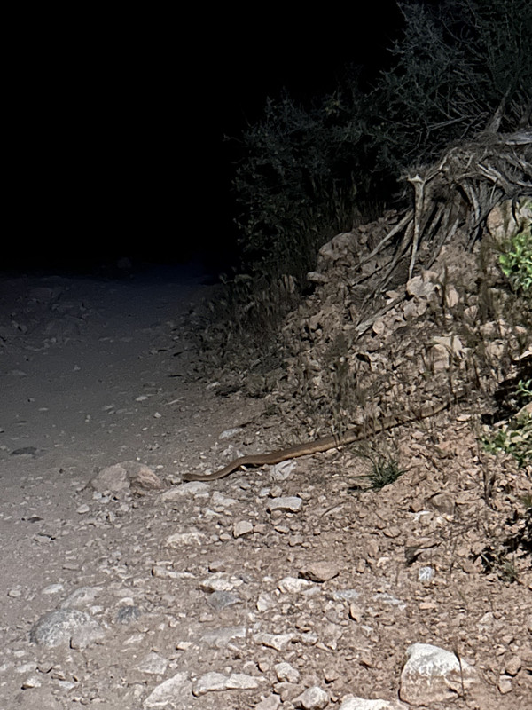 IMG 0352 — Postimages