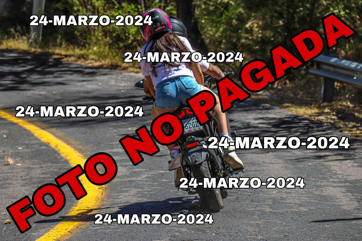 CA 1013 — Postimages