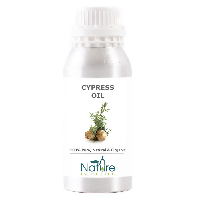 Cypress Essential Oil Organic - Cupressus sempervirens