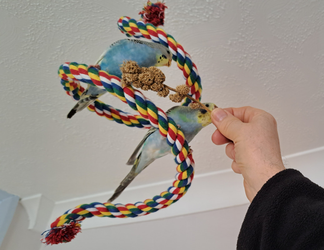 20230406 170926 — Postimages