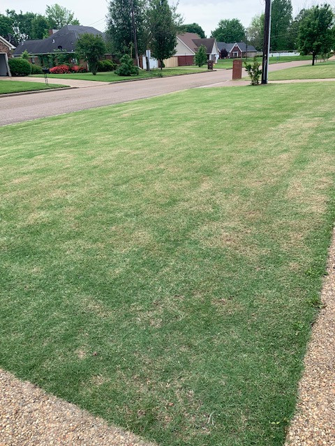 Transitioning from rotary to reel mower | Lawn Care Forum