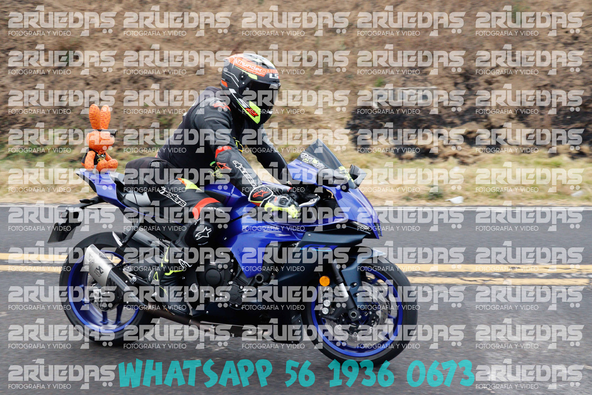 MG 1518 — Postimages