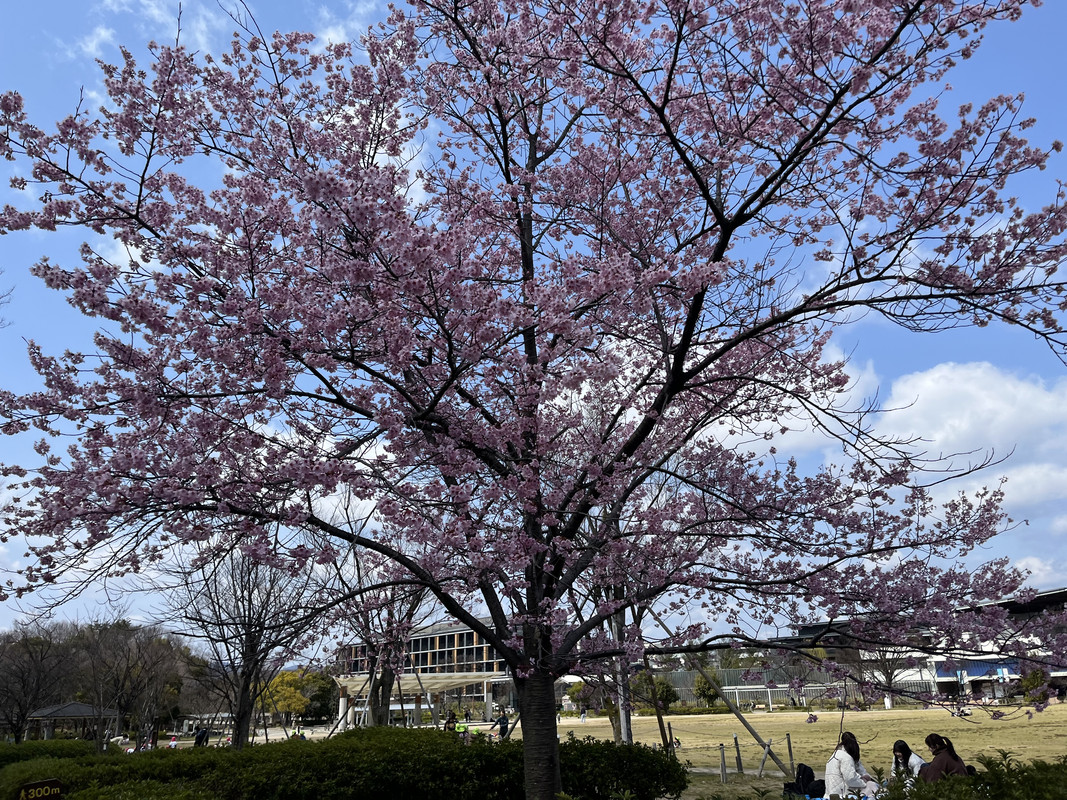 91 C26 B99 028 A 4 F5 F 9 C45 B54 A1 AA5 CDAC — Postimages