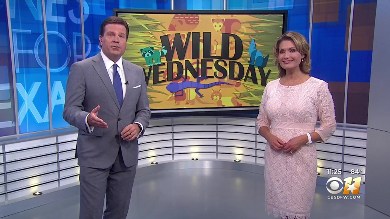 KB 190918 00016 — Postimages