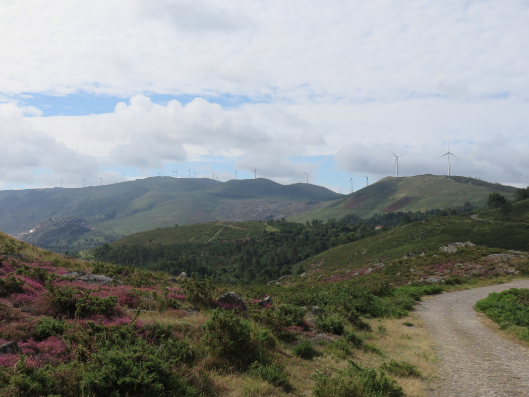 IMG 2276 — Postimages