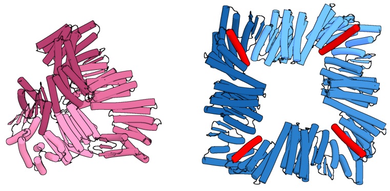 B1 C3 to C4 — Postimages