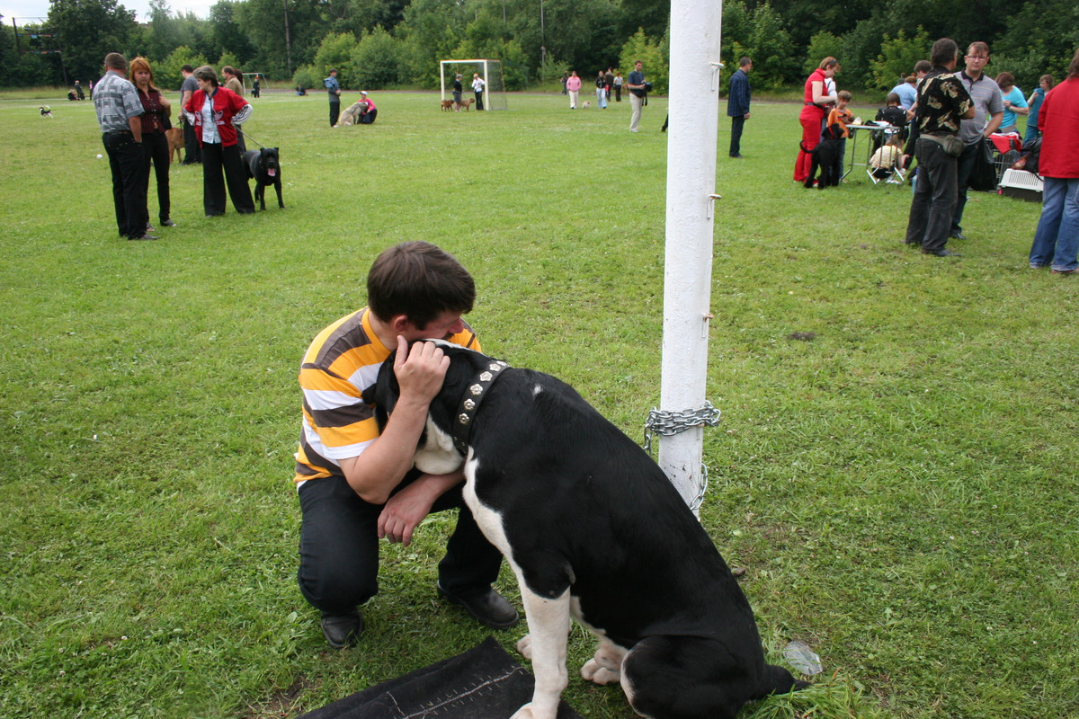 IMG 0234 — Postimages