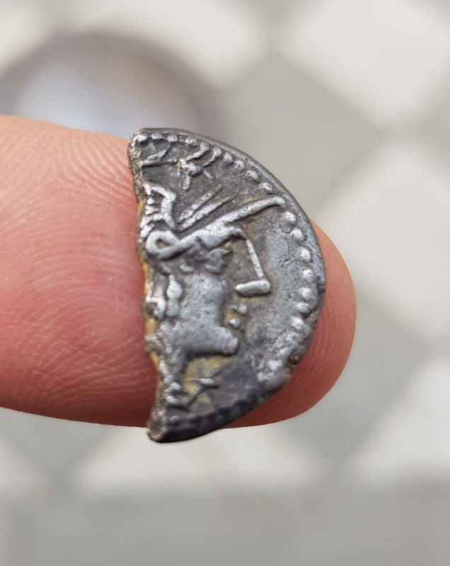 Mitad denario de la gens Domitia. CN. DOM - ROMA. Victoria guiando biga ...