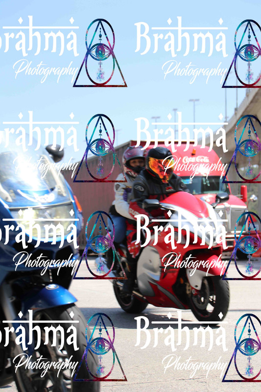 IMG 3316 — Postimages