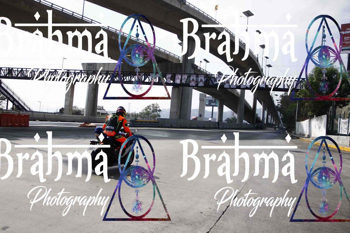 MG 0318 — Postimages