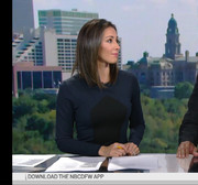 Bianca Castro NBC DFW - Page 3 - TvNewsCaps