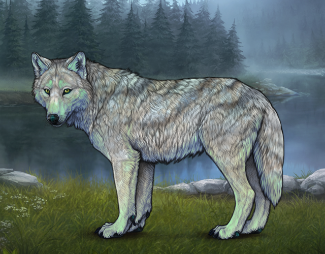 Chased Wolves record From Eiderdown |:| Wolvden