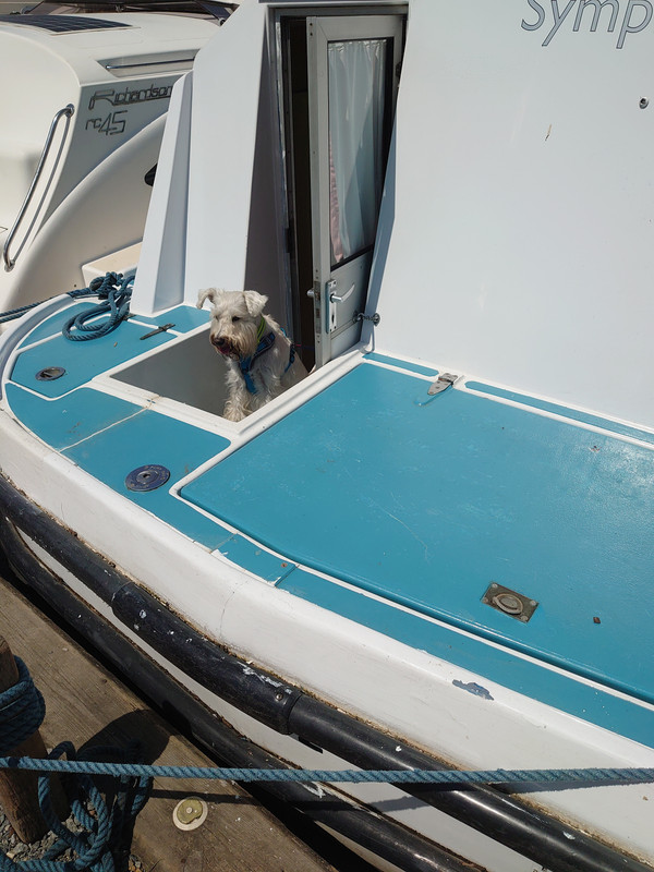 DSC 0595 — Postimages