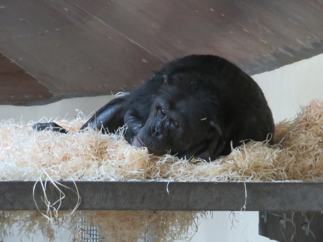 IMG 4518 — Postimages