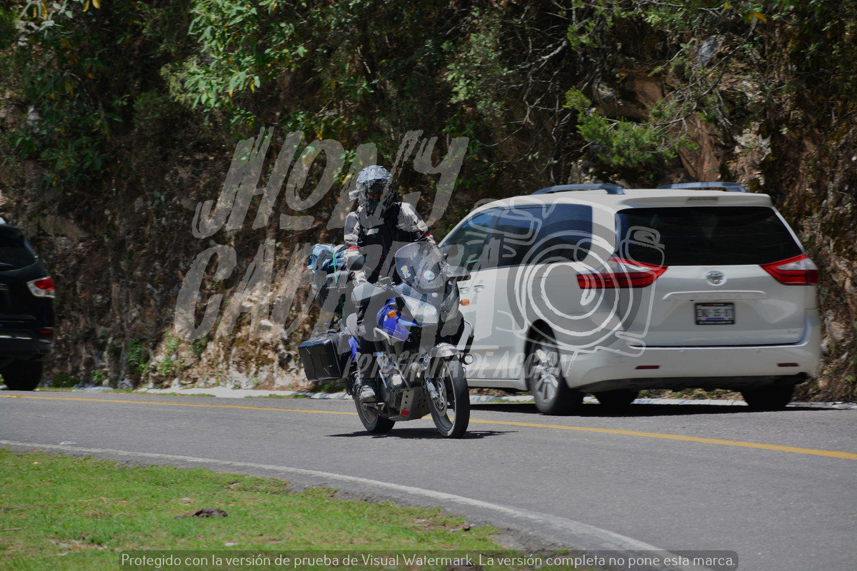 DSC 1359 — Postimages