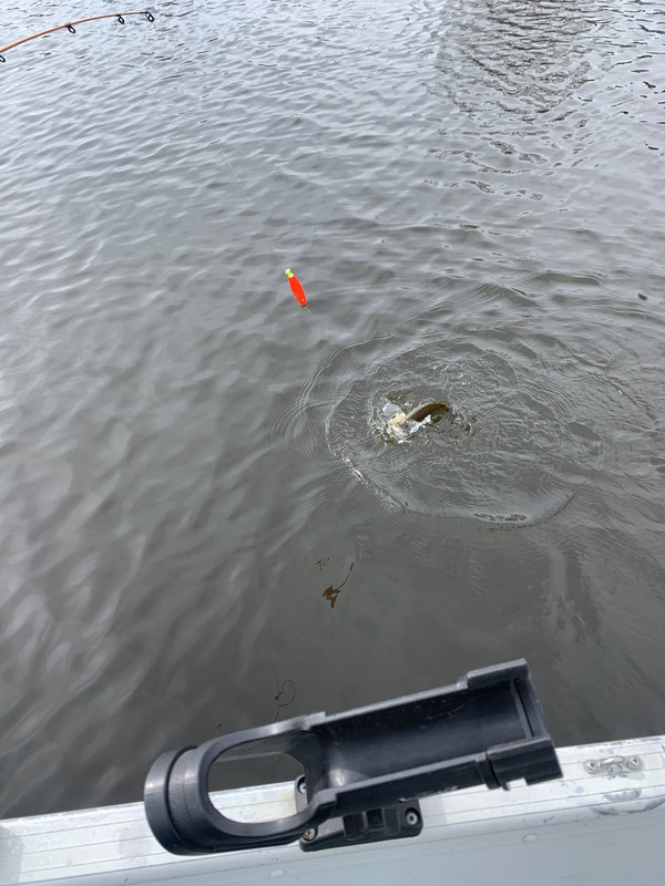 6 F346287 C270 41 EB 9 AA1 12 C99 D3878 CA — Postimages