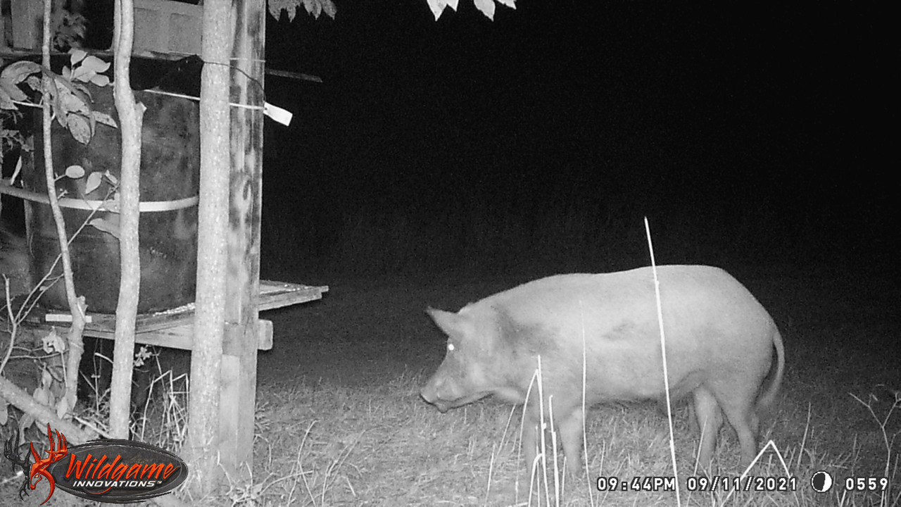 WGI 0559 — Postimages