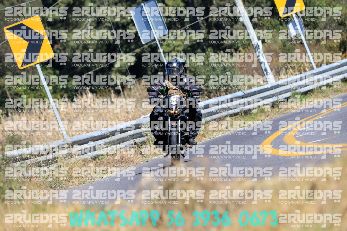 MG 0208 — Postimages