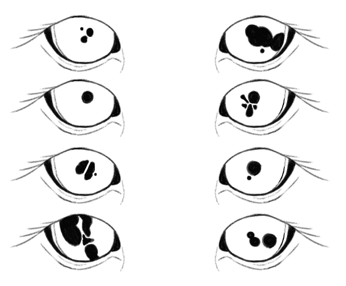 Non-Lethal ; Severe Polycoria [Multiple Pupils] :|: Lioden