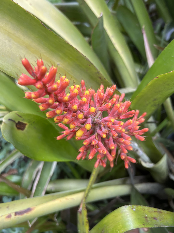 IMG 6352 — Postimages