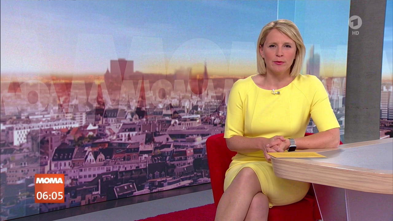 Susan Link ARD Mo Ma 27 04 2020 pp 013 — Postimages