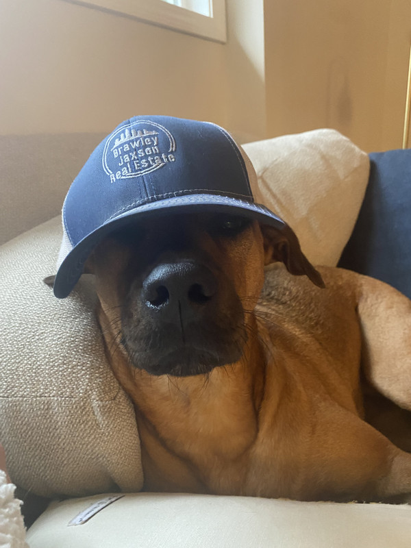 IMG 3729 — Postimages