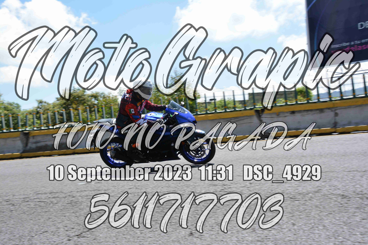 motgr DSC 4929 — Postimages