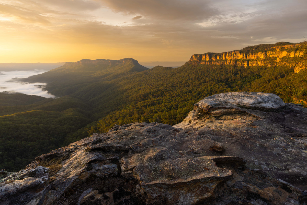 DSC04225 Edit — Postimages