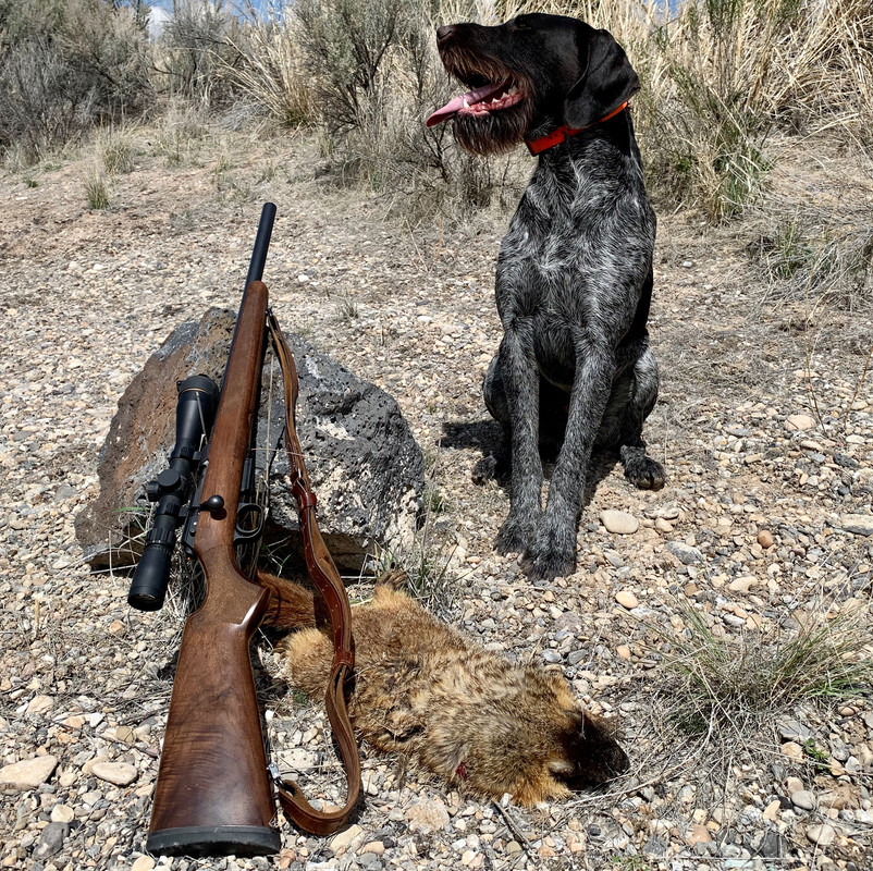 3 E8 D07 A8 C6 EE 4745 A792 8 EF409792 B02 — Postimages