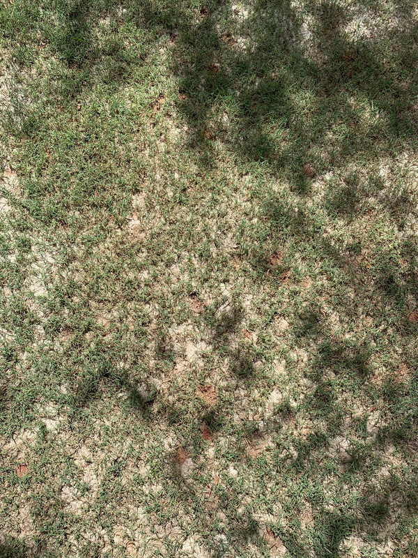 Aeration & Sand Recovery Time | Lawn Care Forum