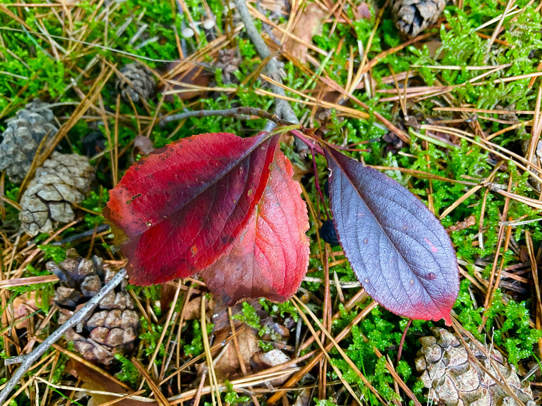 ED2 D85 DC C5 A6 465 C 9 C6 D 29 ECB3 AC008 E — Postimages