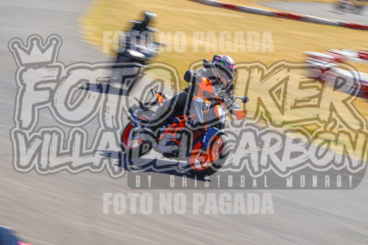 TRACK 05 FEBRP2 206 — Postimages