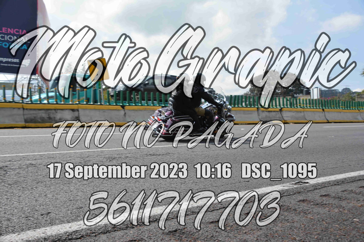 motgr DSC 1095 — Postimages