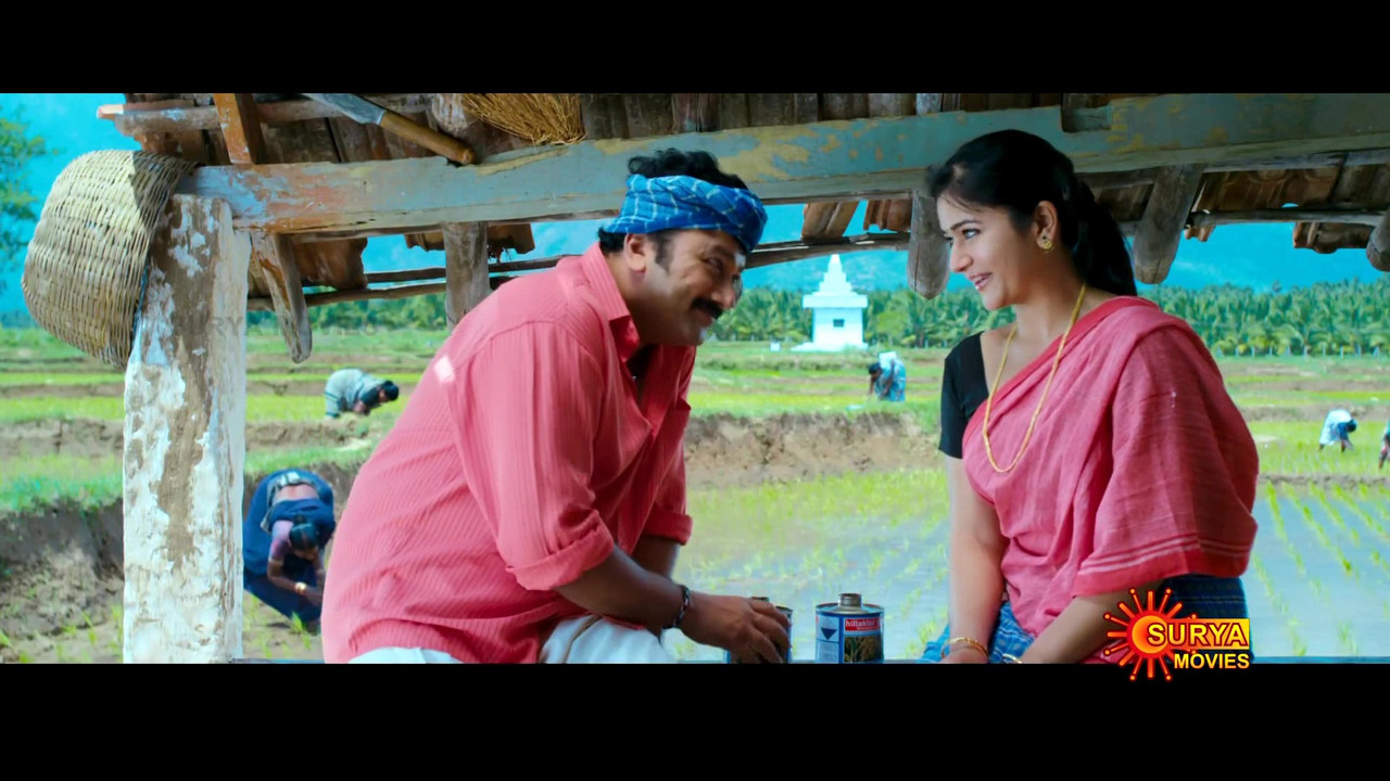 p (17) — Postimages