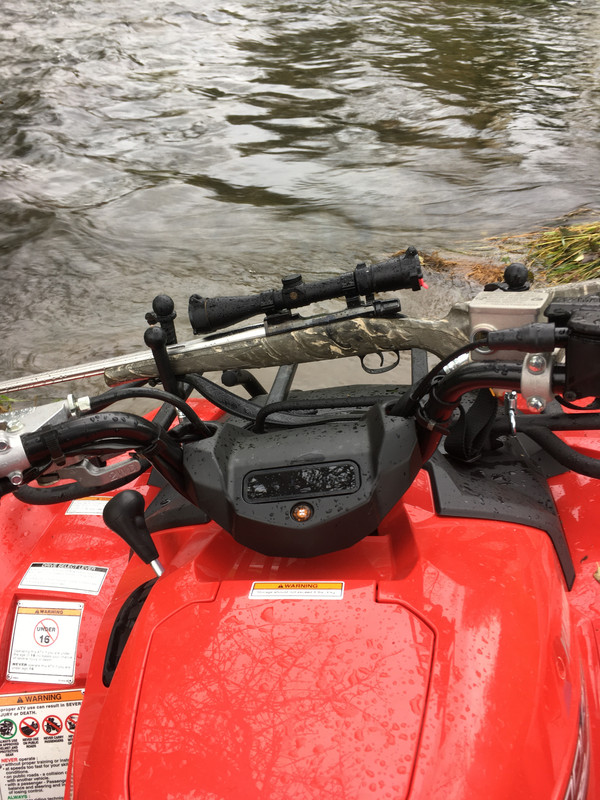 B739 EDE4 5645 4 D7 C 98 B6 7 BFCC12498 CA — Postimages