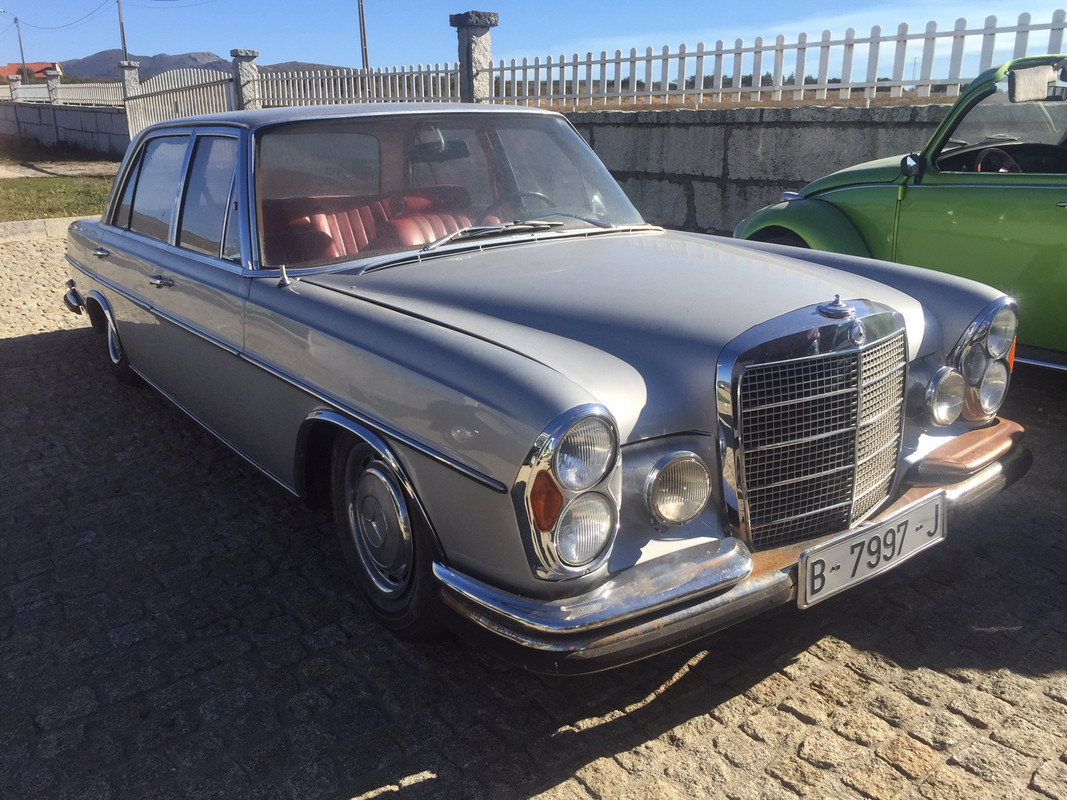 IMG 6196 — Postimages