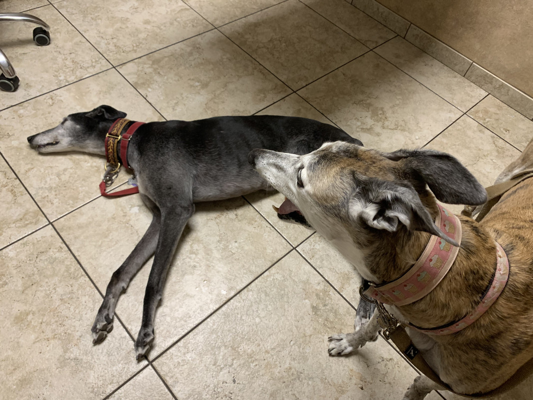 IMG 2067 — Postimages