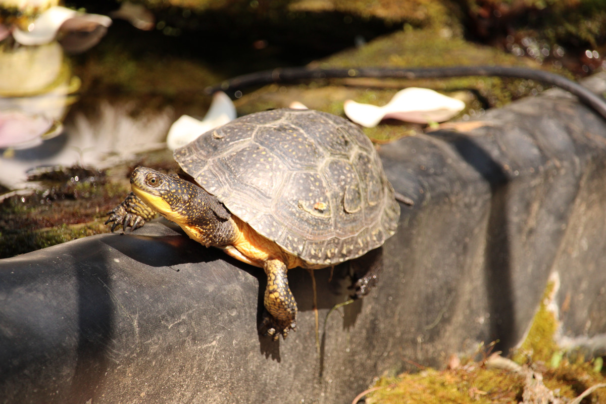 IMG 0561 — Postimages