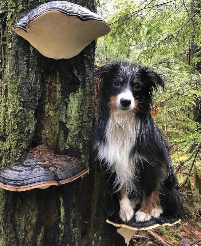 IMG 1987 — Postimages