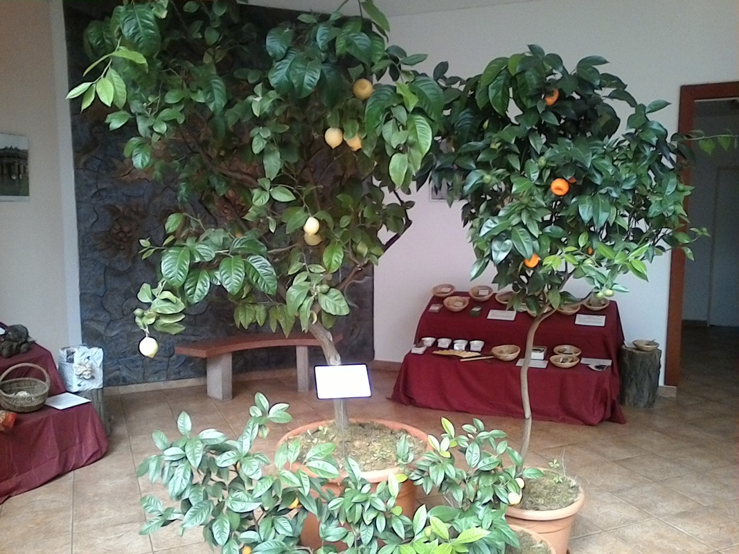 WIN 20170704 10 04 33 Pro — Postimages